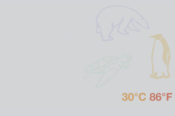 Analytical Synthesis | Design | Imbuing Wall